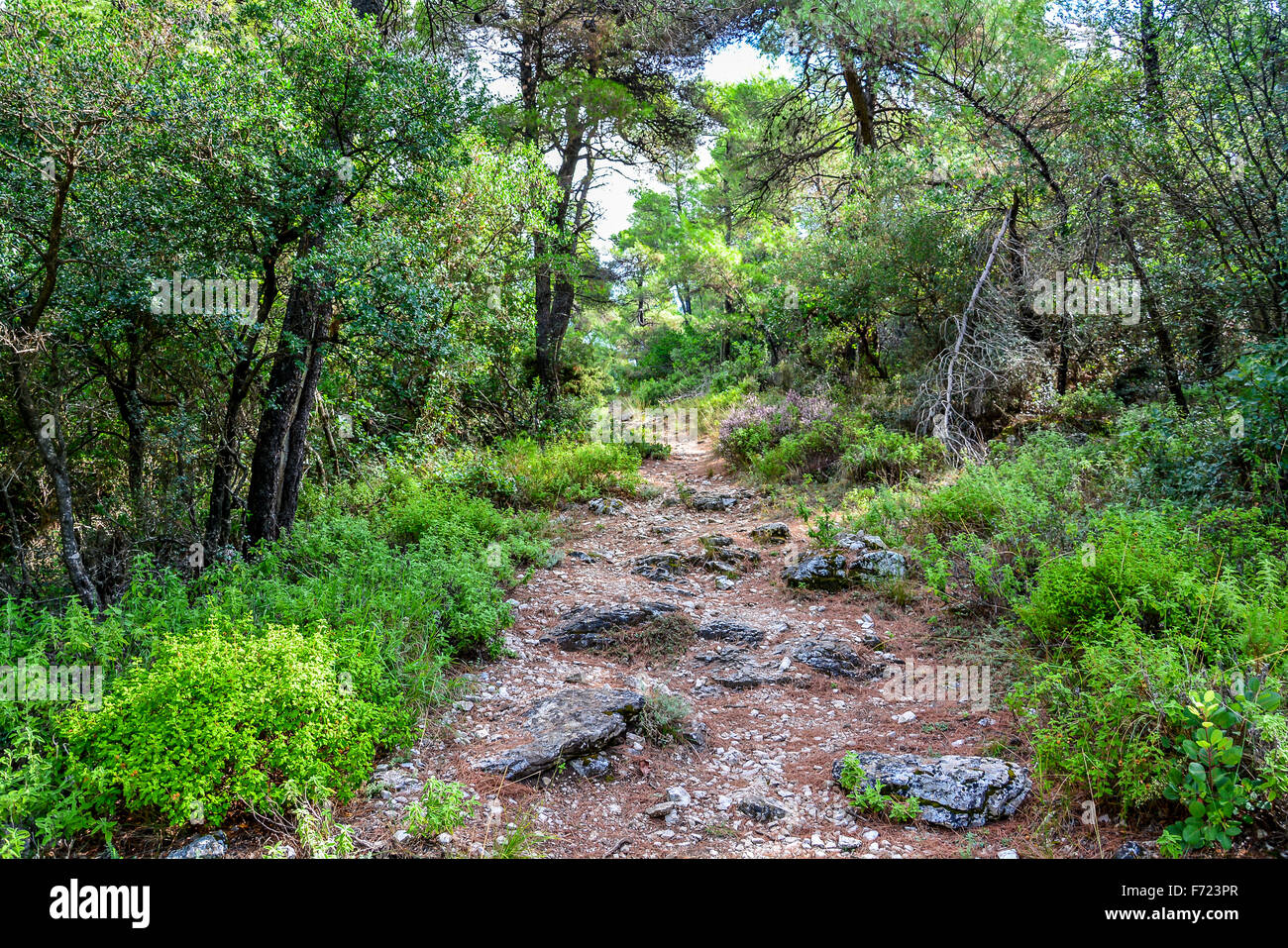 Skopelos Greece Hiking Hi res Stock Photography And Images Alamy