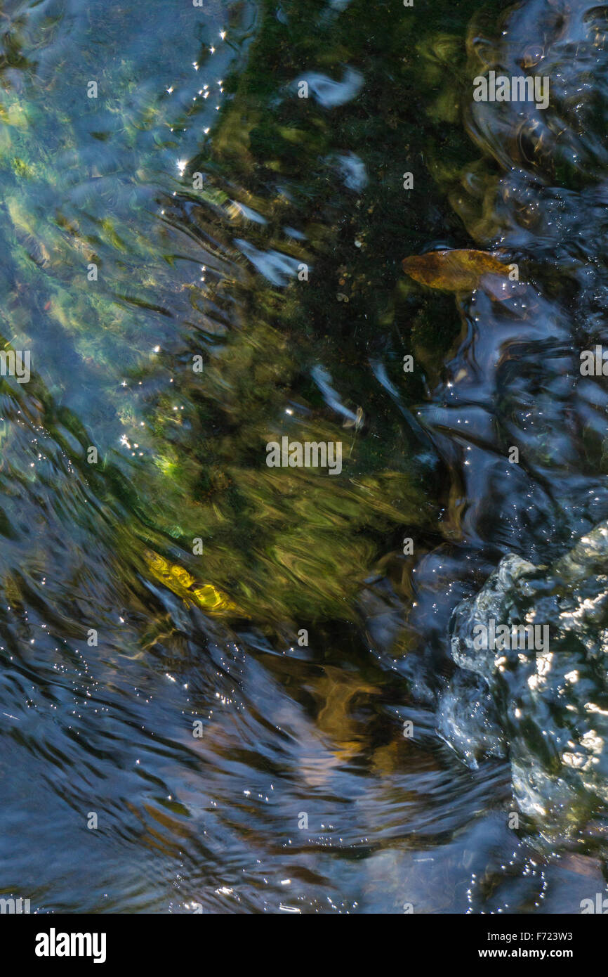Stream ripples reflections in hi-res stock photography and images - Alamy