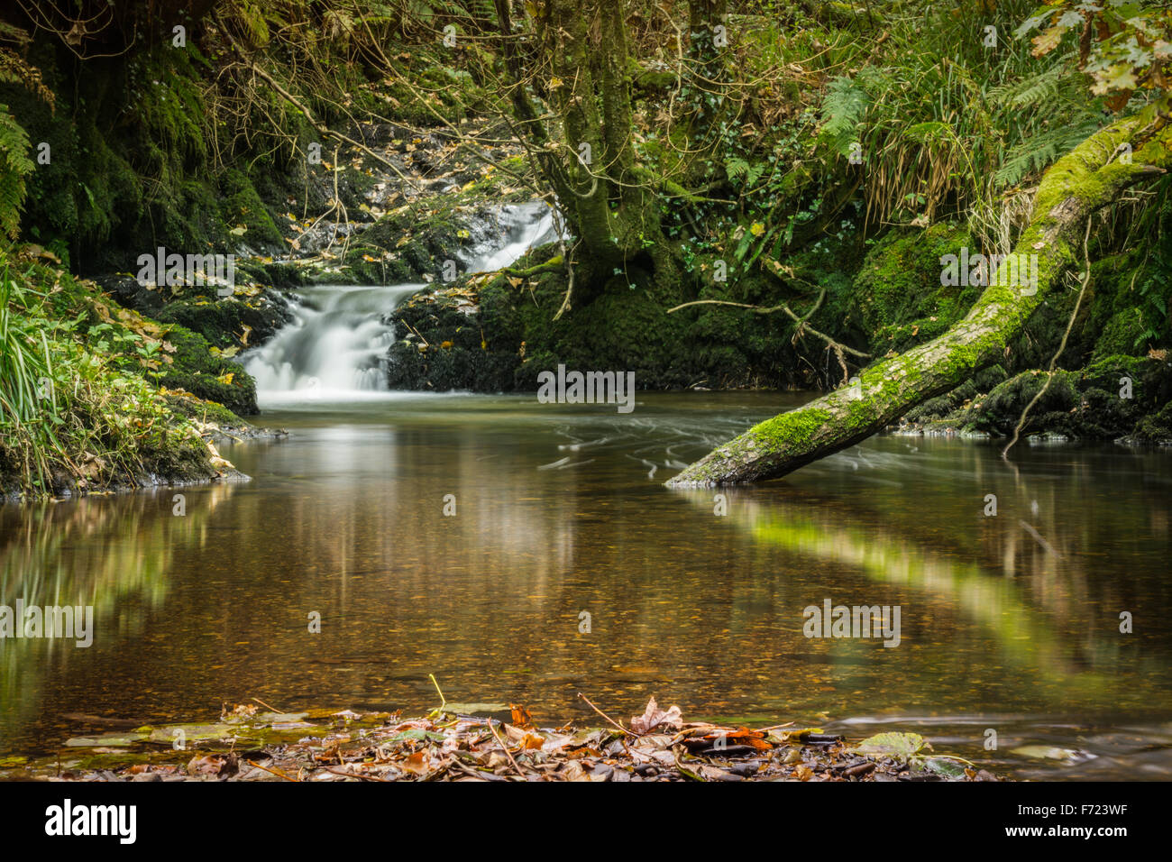 Gwaun water hi-res stock photography and images - Alamy