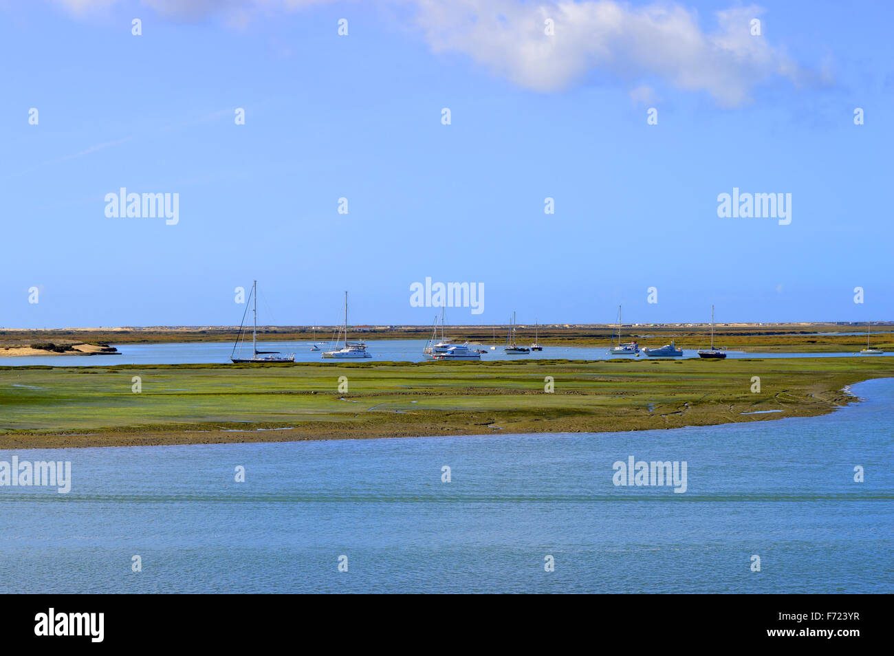 Ria Formosa nature reserve in the Algarve Stock Photo - Alamy