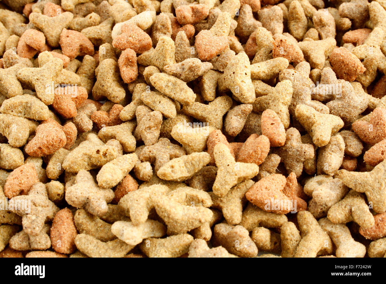 Close up image of dry cat food Stock Photo - Alamy