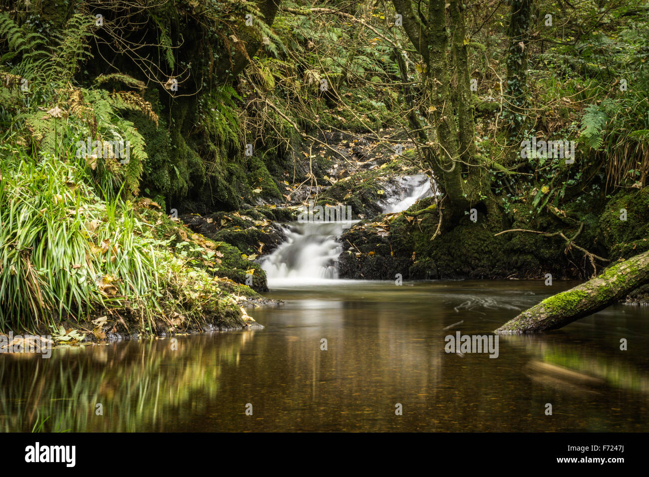 Waterfall in Gwaun Valley Pembrokeshire with autumn leaves Stock Photo ...
