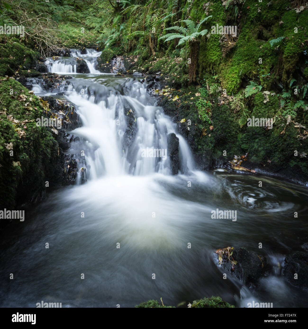 Gwaun Valley High Resolution Stock Photography and Images - Alamy