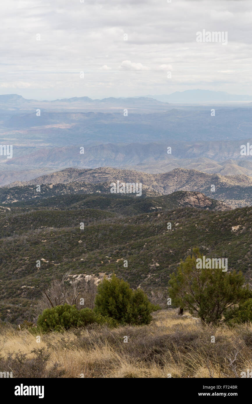 A view to the north from Mica Mountain of a vast, open desert, Saguaro ...