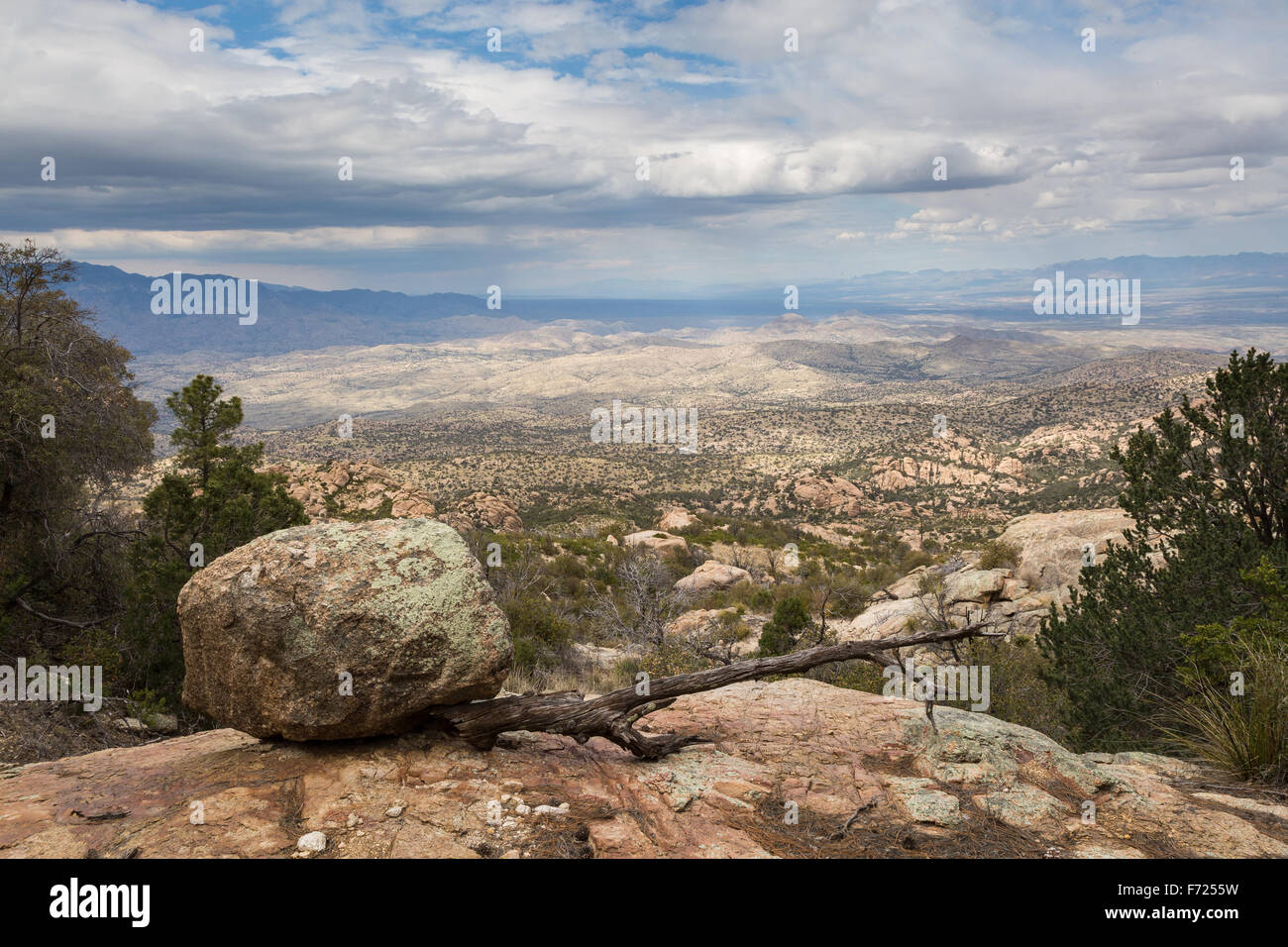 A view to the north from Mica Mountain of a vast, open desert, Saguaro ...