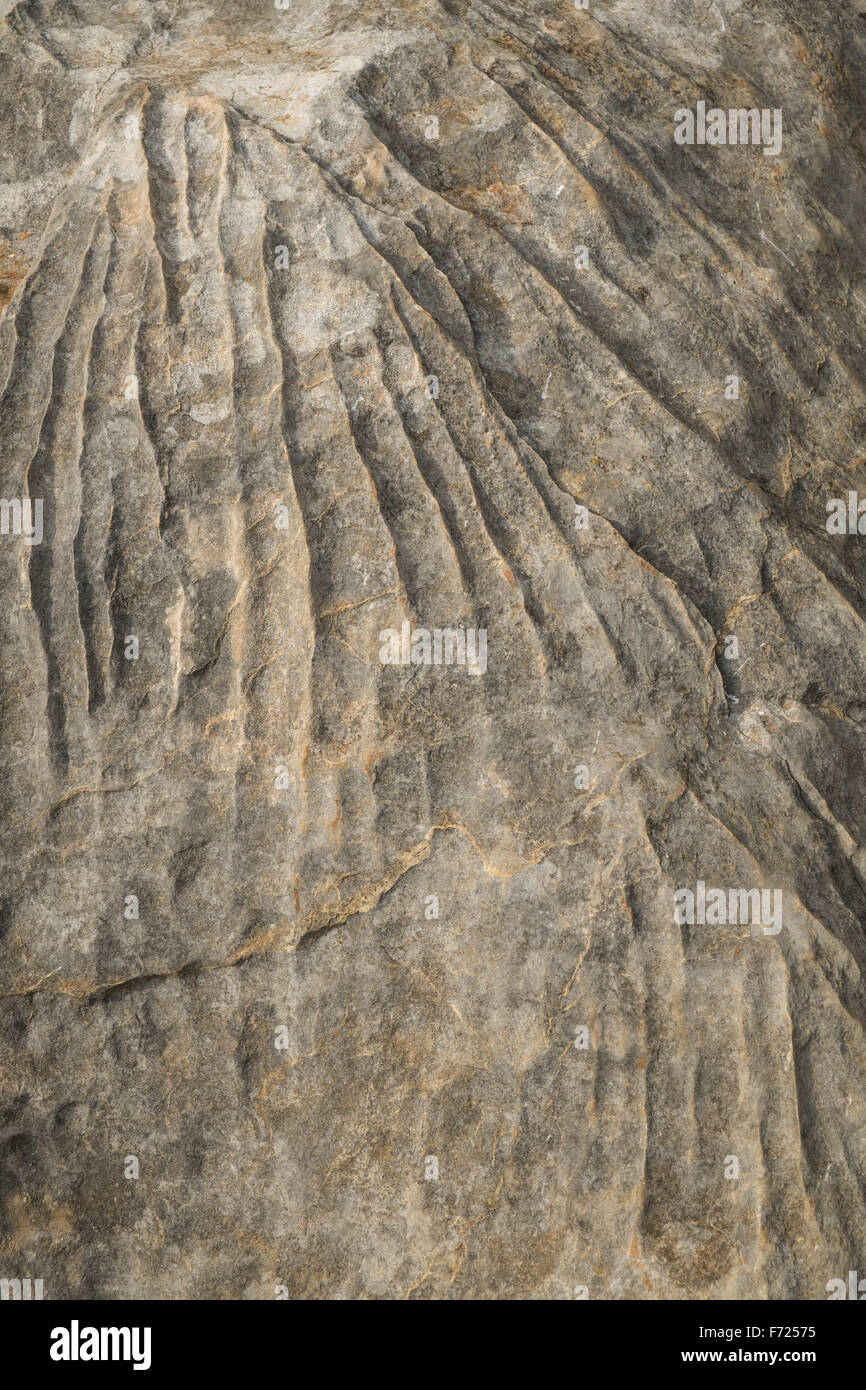 Patterns from erosion on a large rock Stock Photo - Alamy
