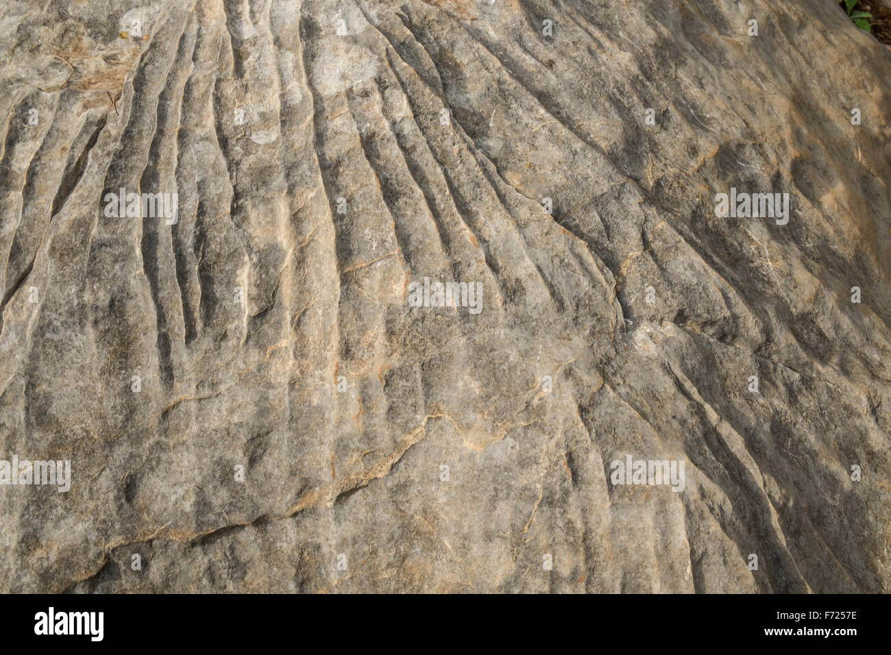 Patterns from erosion on a large rock Stock Photo - Alamy