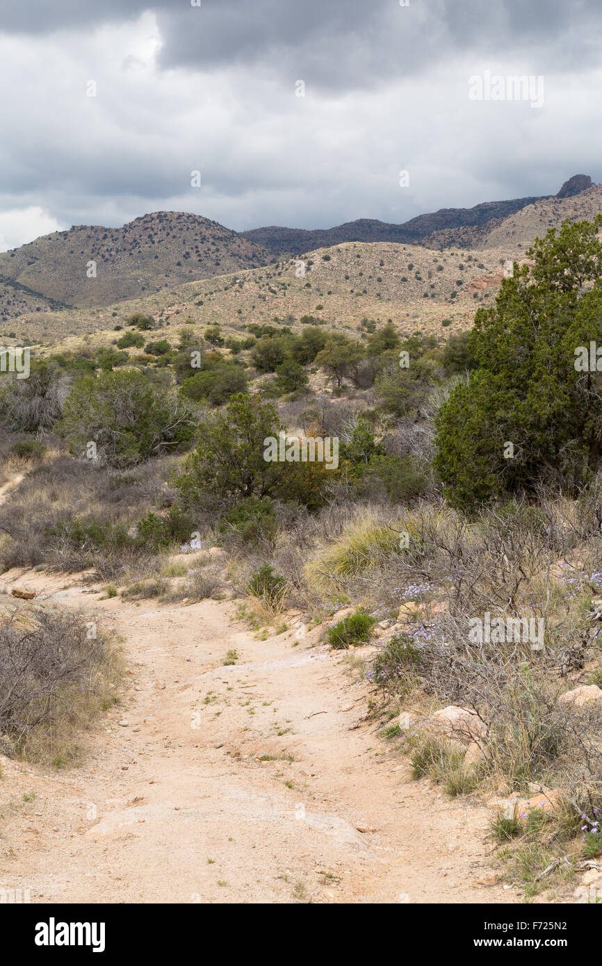 The Arizona Trail winding through desert hills toward the Santa ...