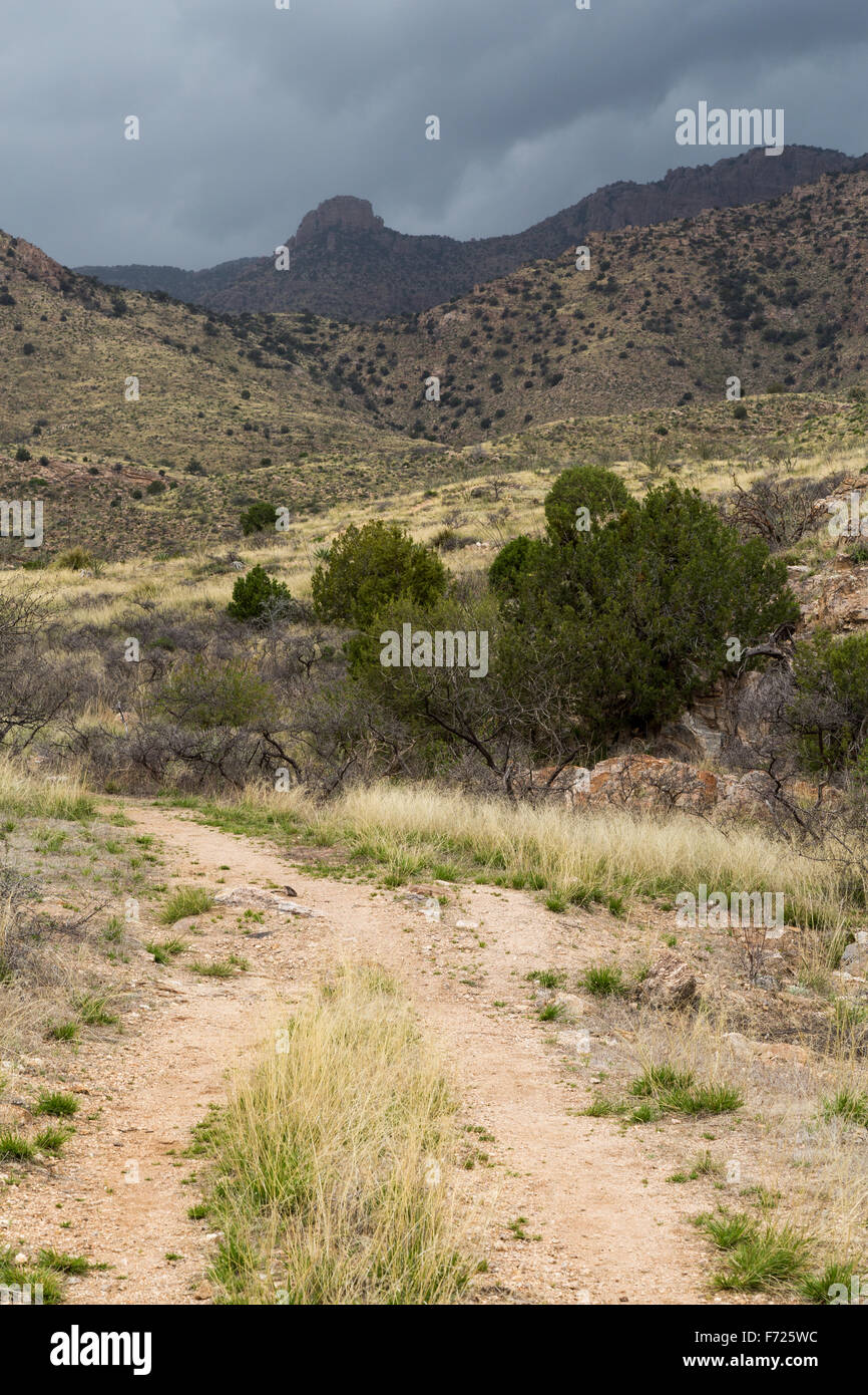 The Arizona Trail winding through desert hills toward the Santa ...