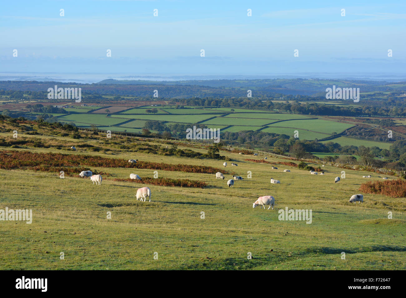 Dartmoor national park aerial hi-res stock photography and images - Alamy