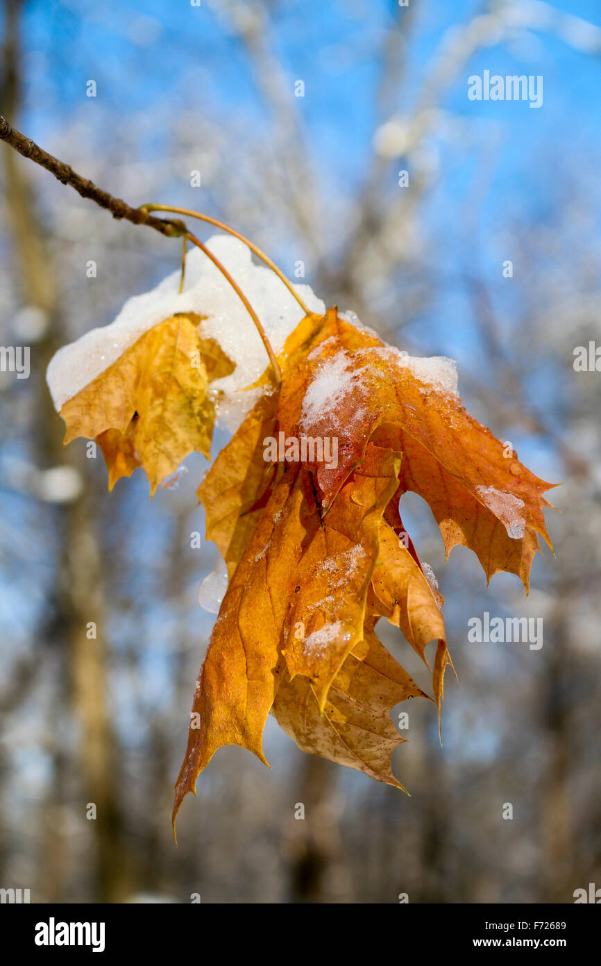 Autumn precipitation hi-res stock photography and images - Alamy