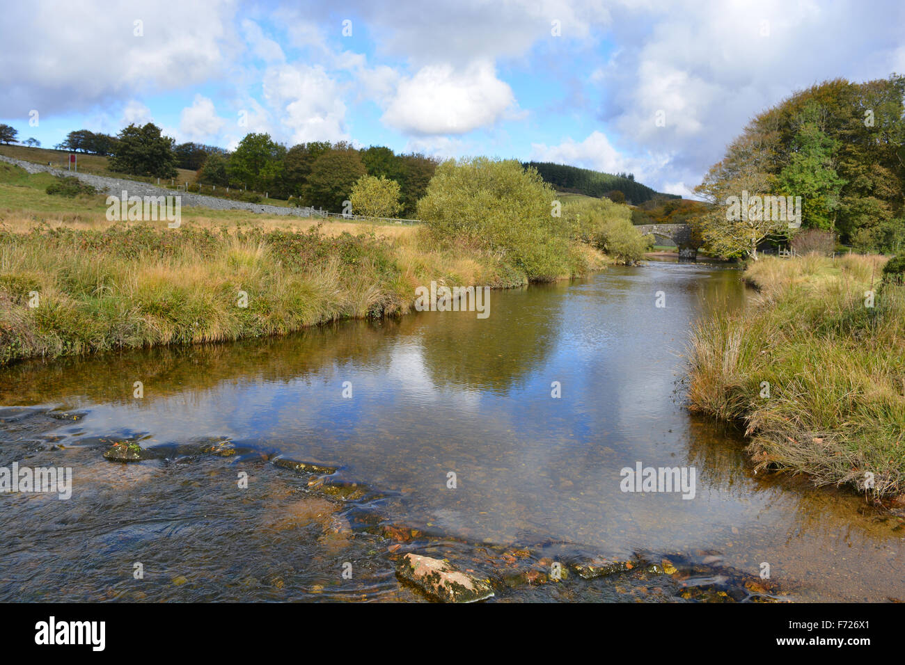 West Dart River at Two Bridges, Dartmoor National Park, Devon, England ...