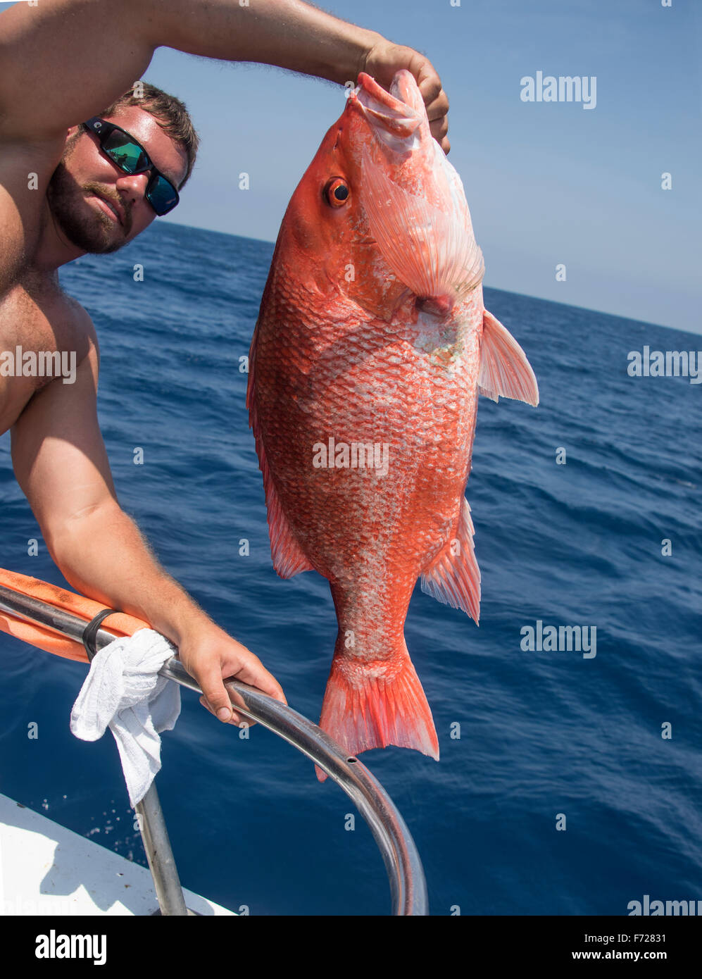 Snapper fish hi-res stock photography and images - Alamy
