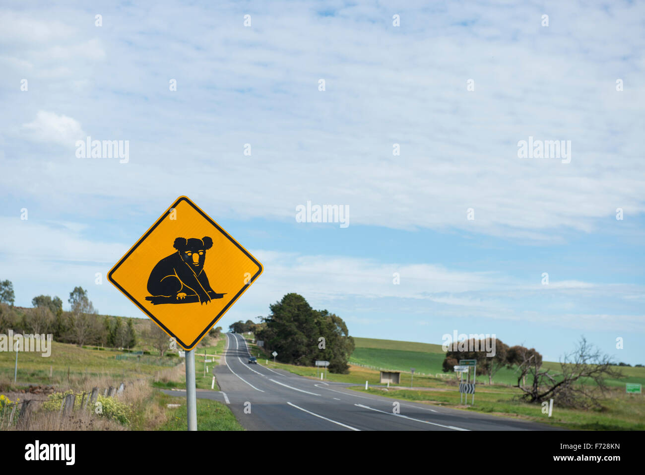 Beware of Koalas sign in Victoria, Australia Stock Photo - Alamy