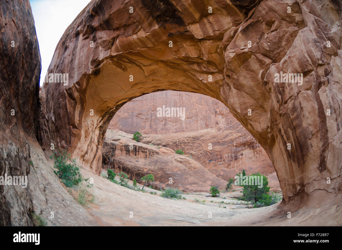 Private arch arches national park hi-res stock photography and images ...