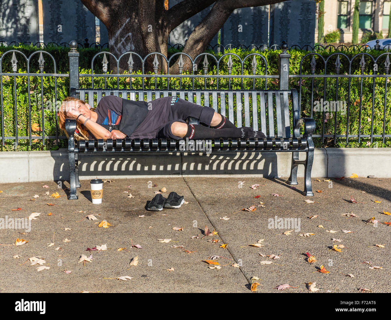 Woman sleeping on bench in park High Resolution Stock Photography and ...