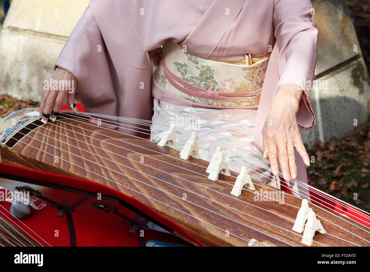 Japanese traditional koto (Japanese traditional music instrument Stock ...