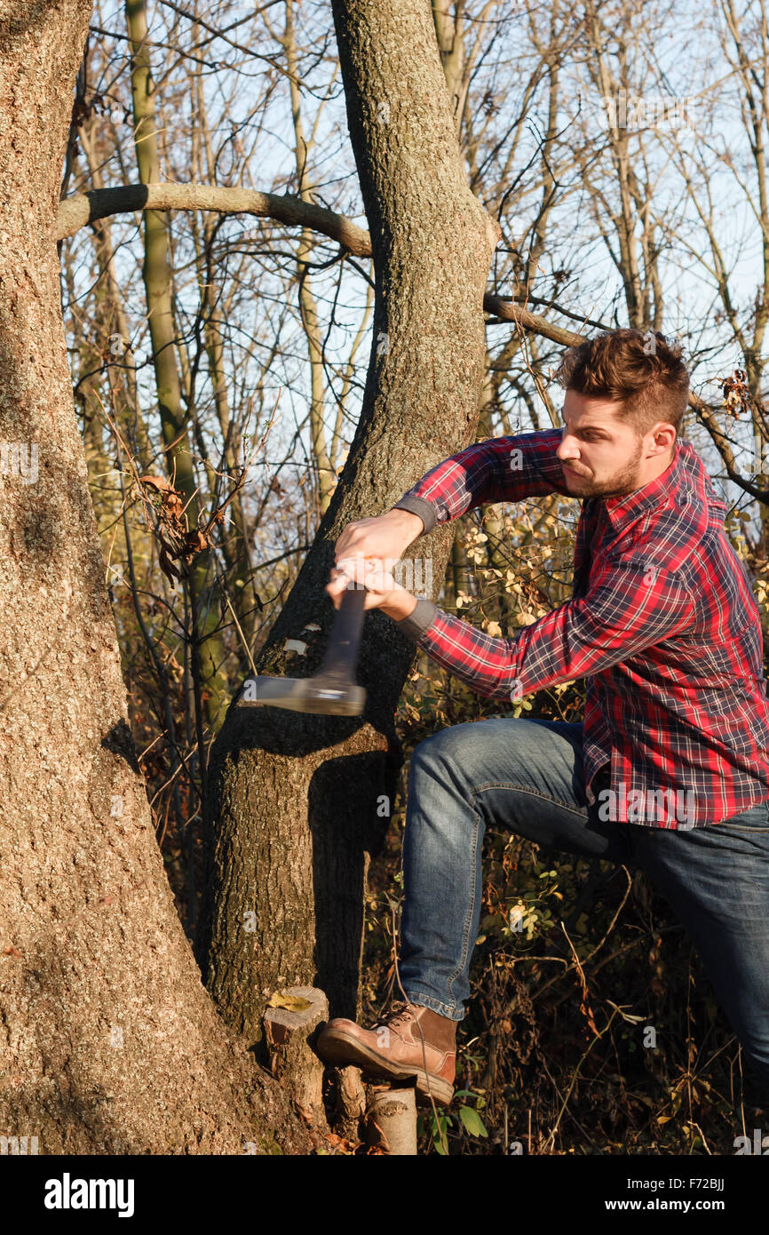 Young, stylish lumberjack felling trees (autumn nature Stock Photo - Alamy