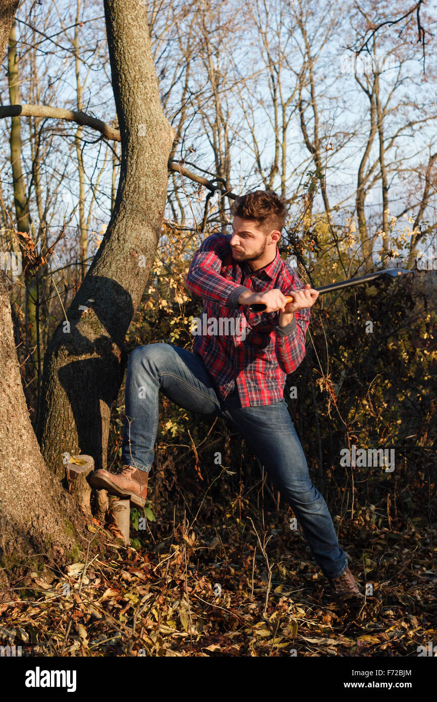 Young, stylish lumberjack felling trees (autumn nature Stock Photo - Alamy