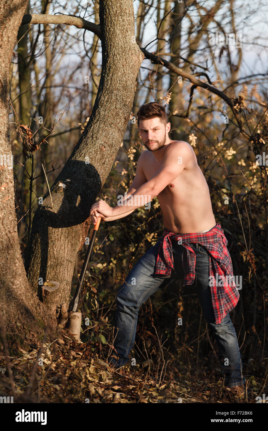Young, stylish lumberjack felling trees (autumn nature Stock Photo - Alamy