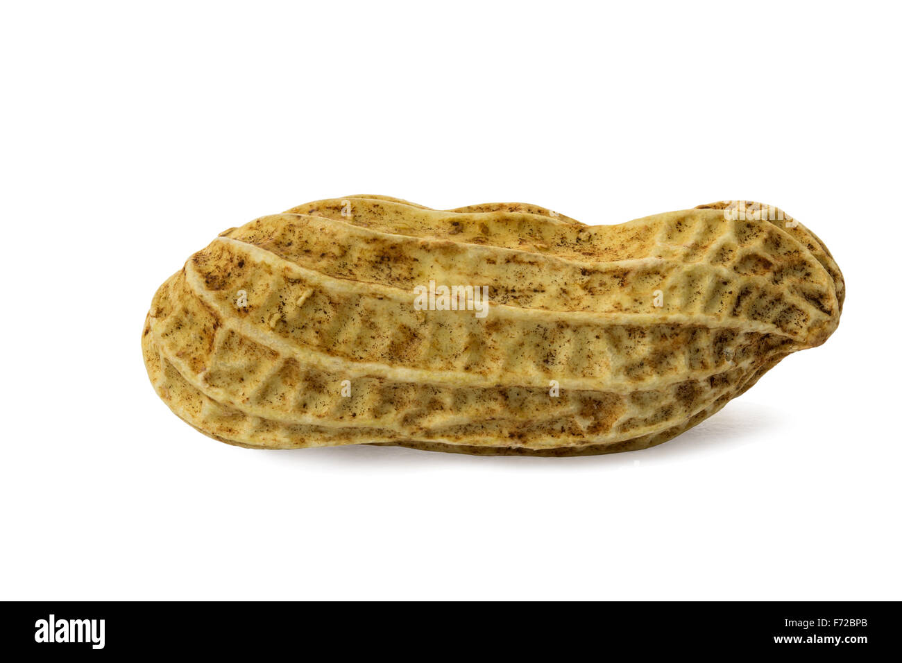 Single peanut isolated on white background and clipping path Stock ...