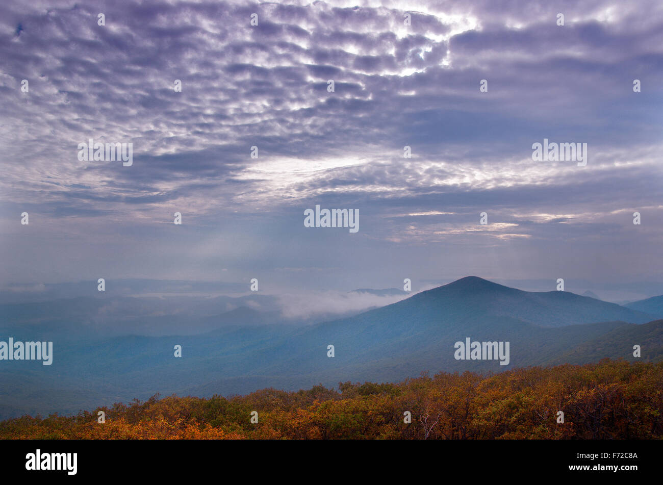 Primorie hi-res stock photography and images - Alamy