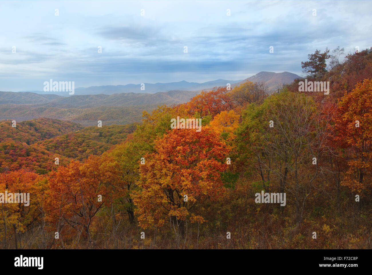 the sky and the cover showed moutain , Russia Primorie Stock Photo - Alamy