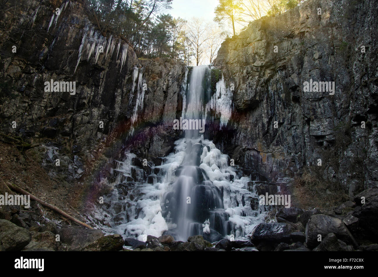 Russia forest hi-res stock photography and images - Alamy