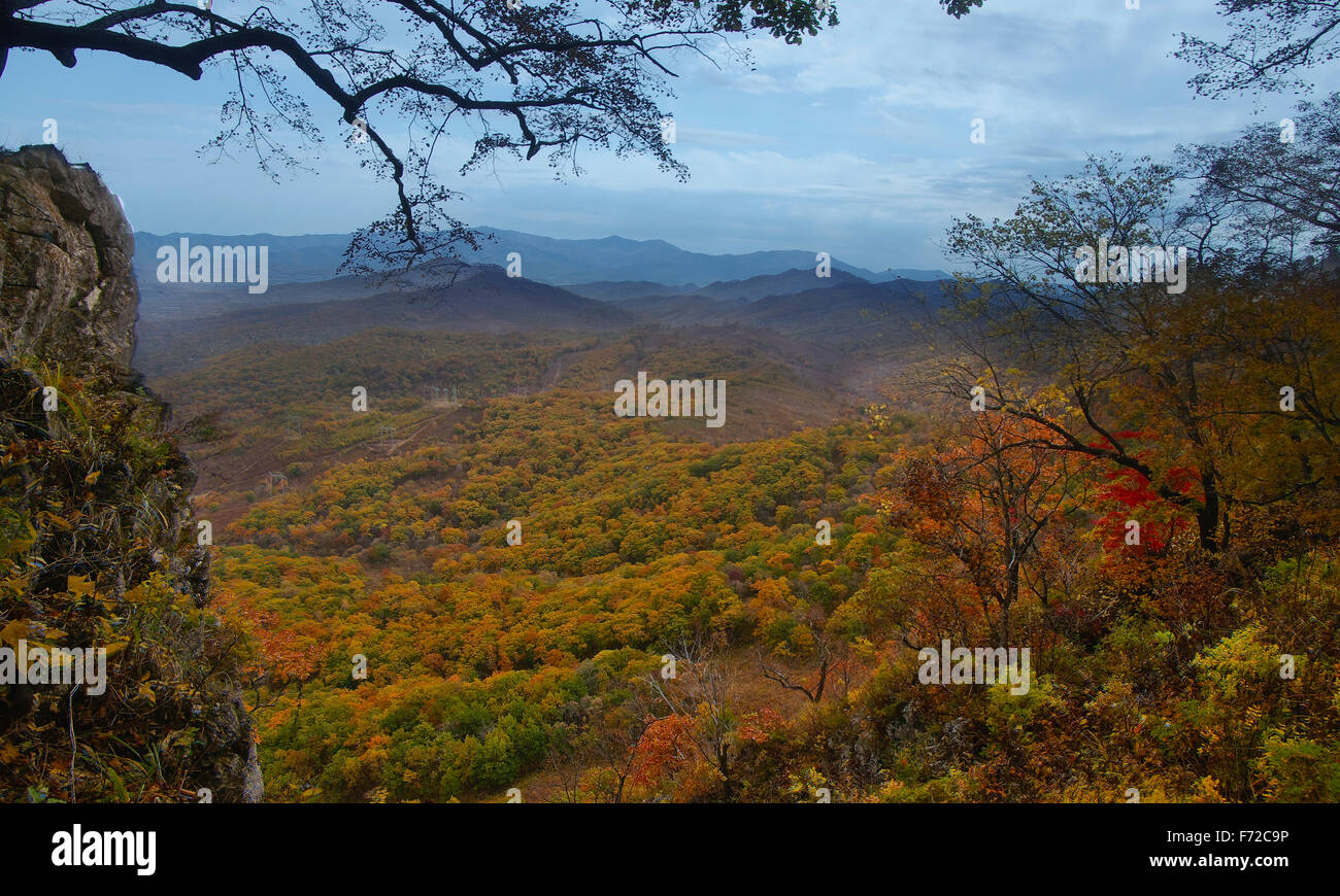 Primorie hi-res stock photography and images - Alamy