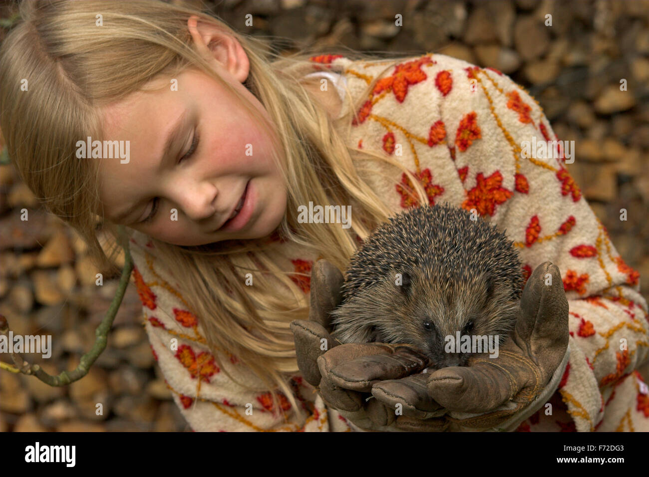 Western hedgehog, girl, child, Mädchen, Kind mit Igel, Erinaceus ...