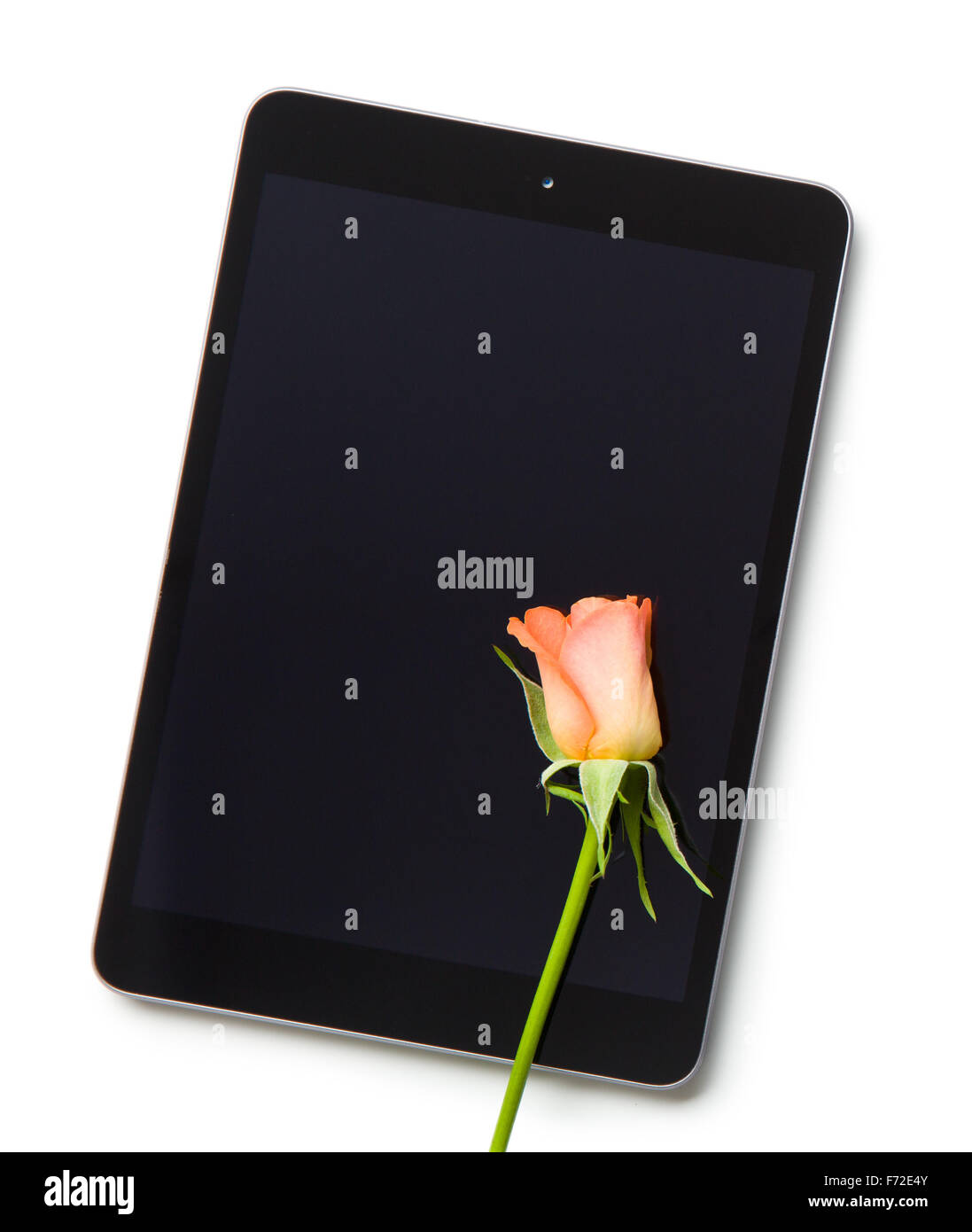 rose flower and computer tablet on white background Stock Photo - Alamy