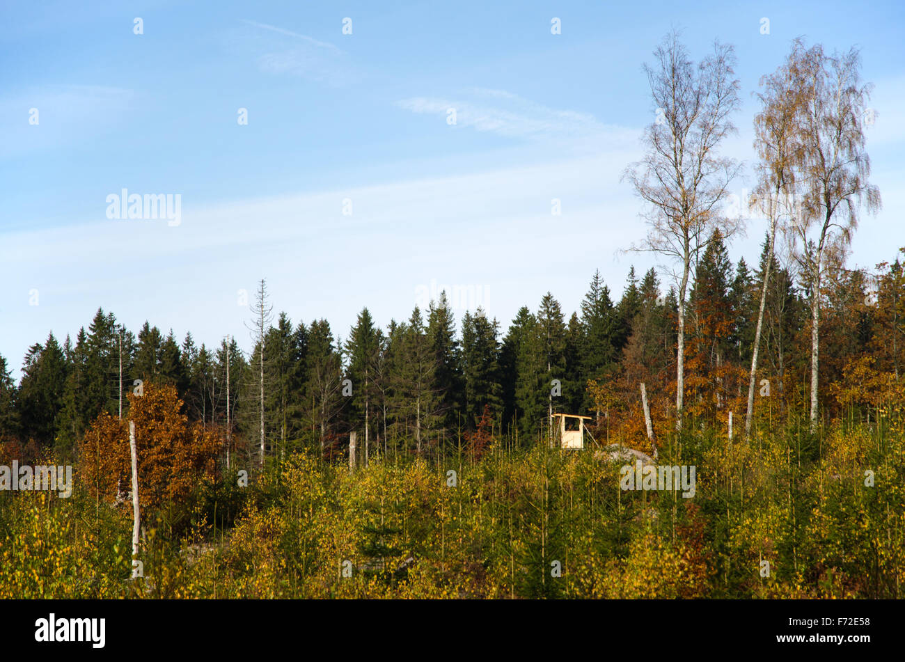 Fall hunting hi-res stock photography and images - Alamy