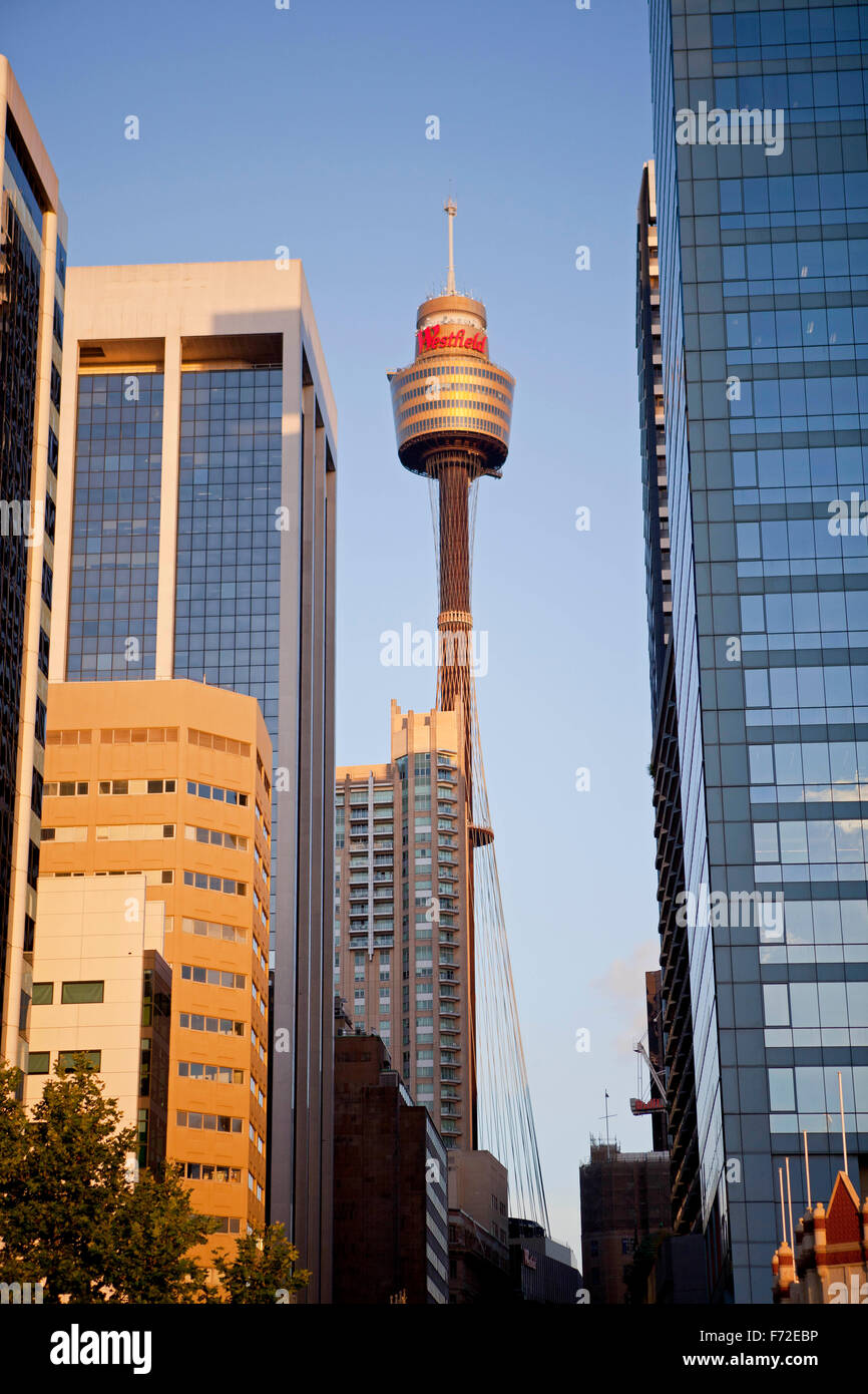 Sydney Tower, Sydney Tower Eye, AMP Tower, Flower Tower, Glower Tower ...