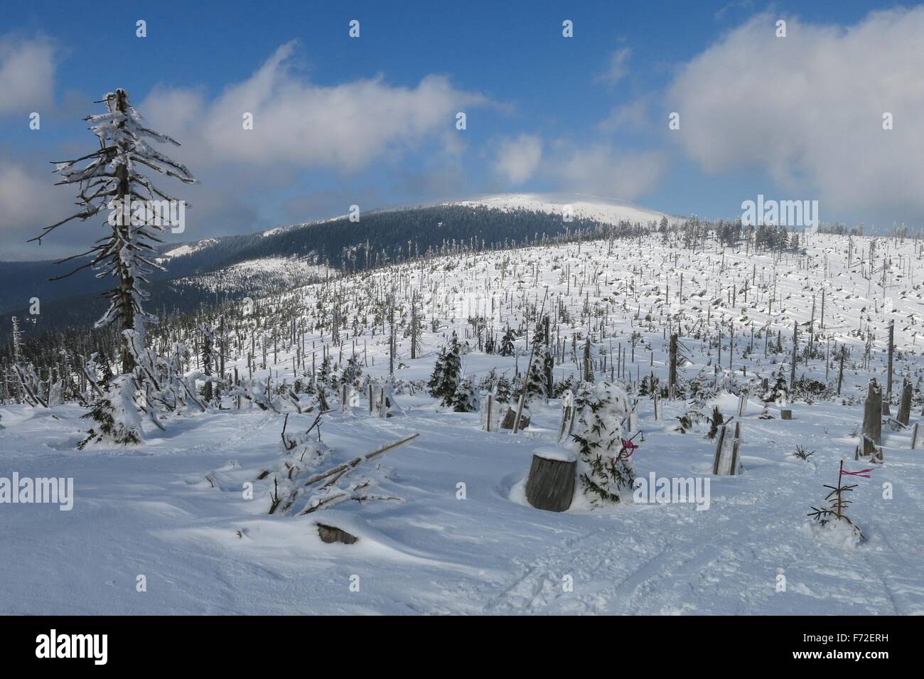 Jeseniky mountains, winter, snow, landscape Stock Photo - Alamy