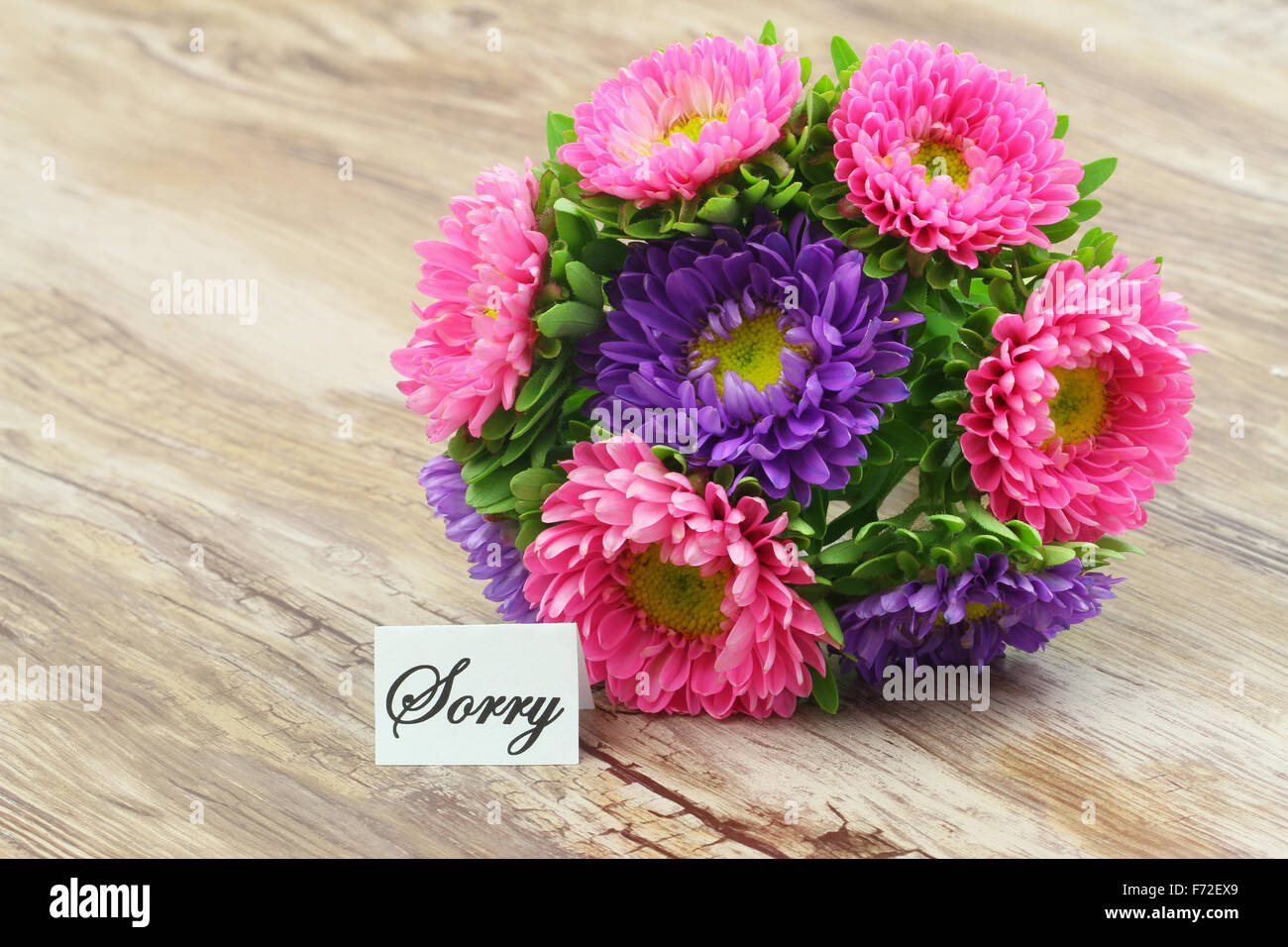 Sorry card with colorful aster flower bouquet on wooden surface Stock ...