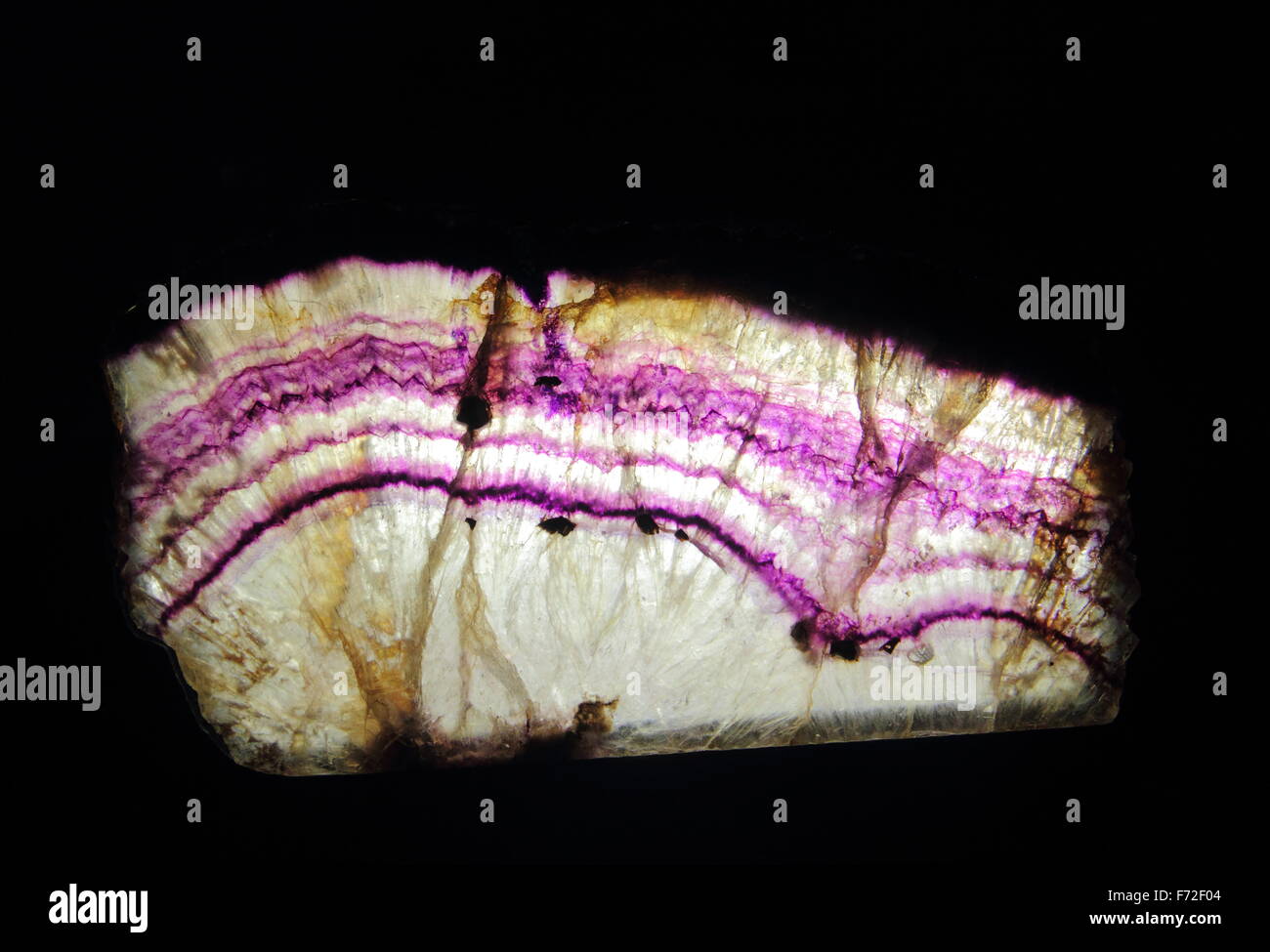 Slices of Blue John stone; a mineral unique to Treak Cliff in ...