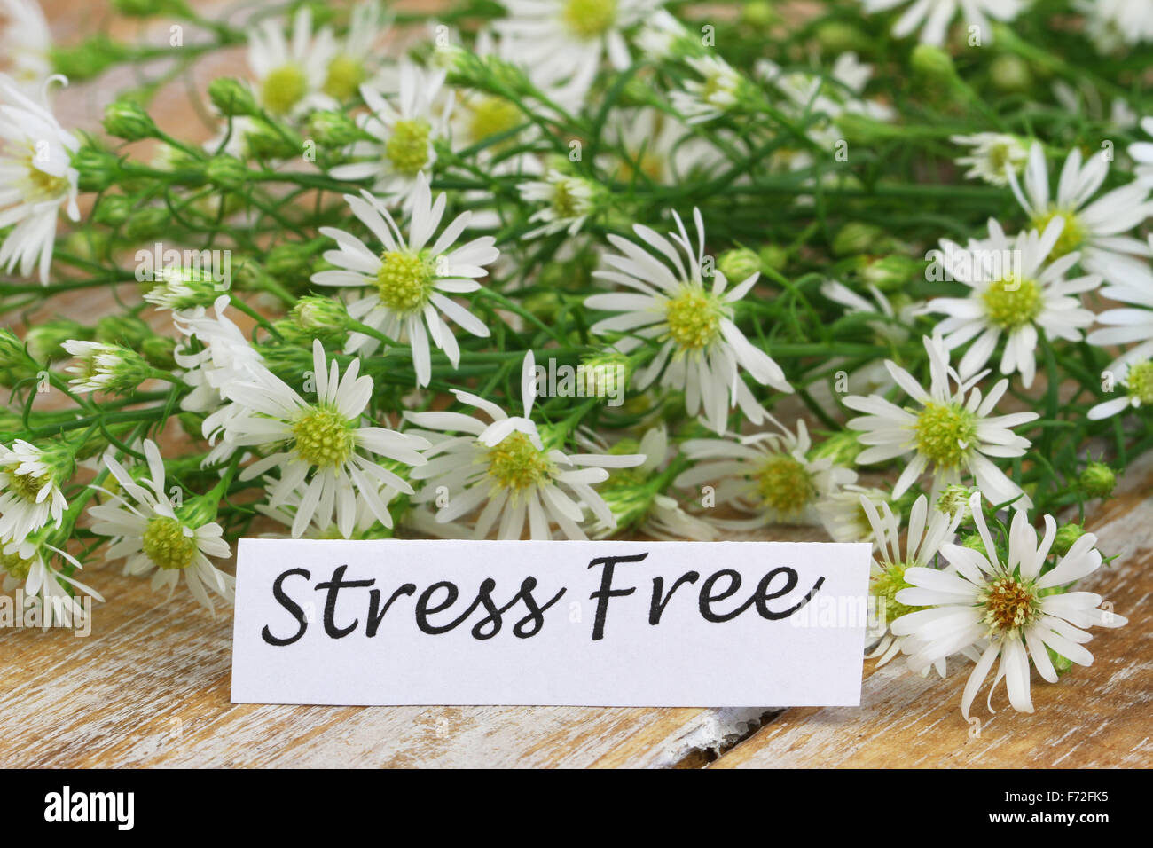 Stress free and flowers hi-res stock photography and images - Alamy