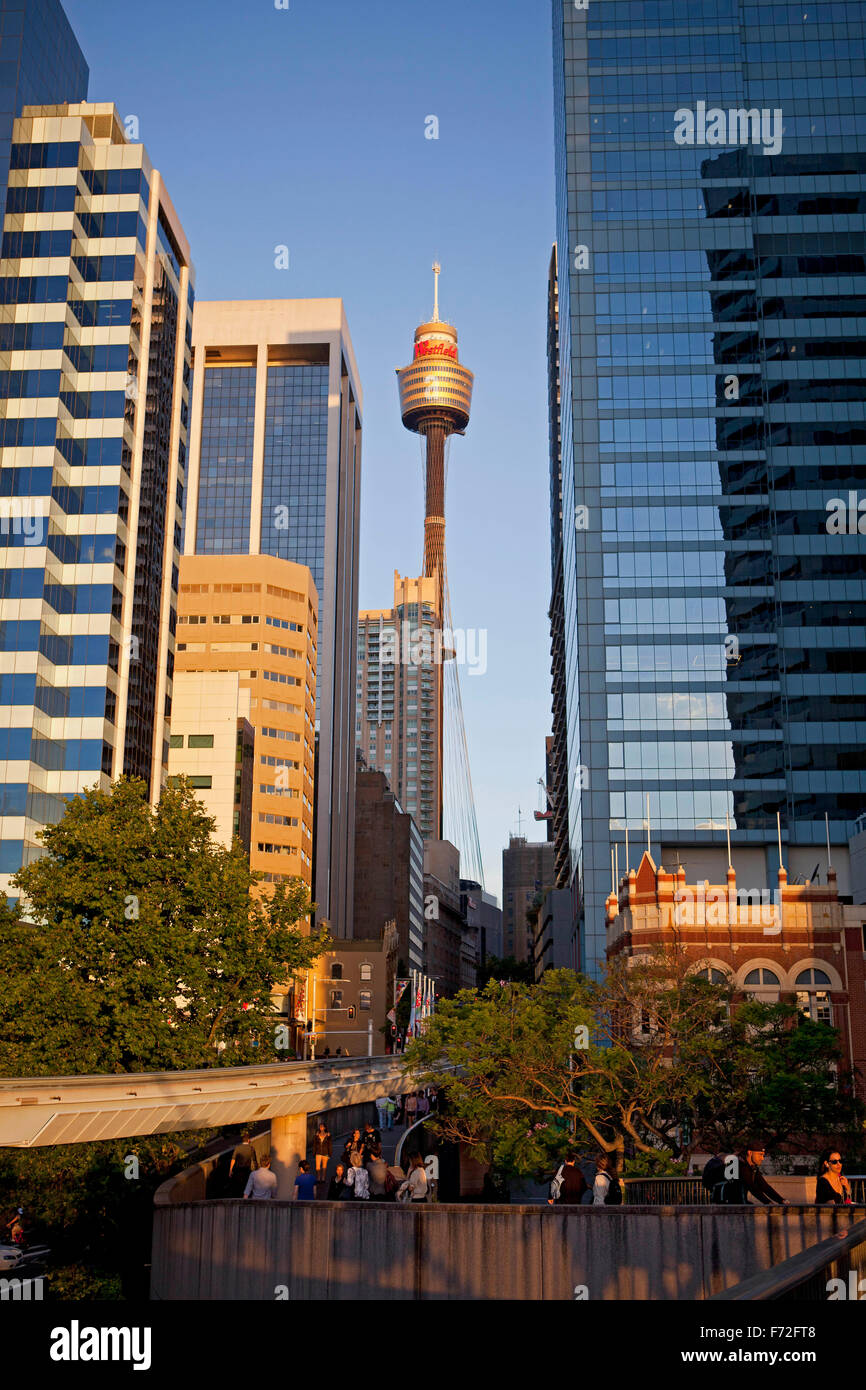 Sydney Tower, Sydney Tower Eye, AMP Tower, Flower Tower, Glower Tower ...