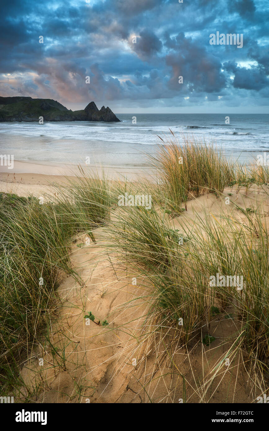 Beautiful Summer morning landscape over yellow sandy beach Stock Photo ...