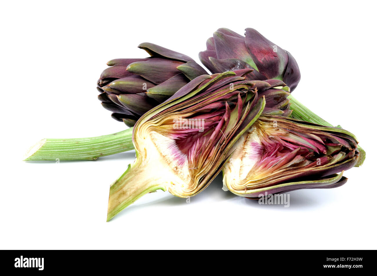 Artichokes of the variety Theme photographed in studio on white ...