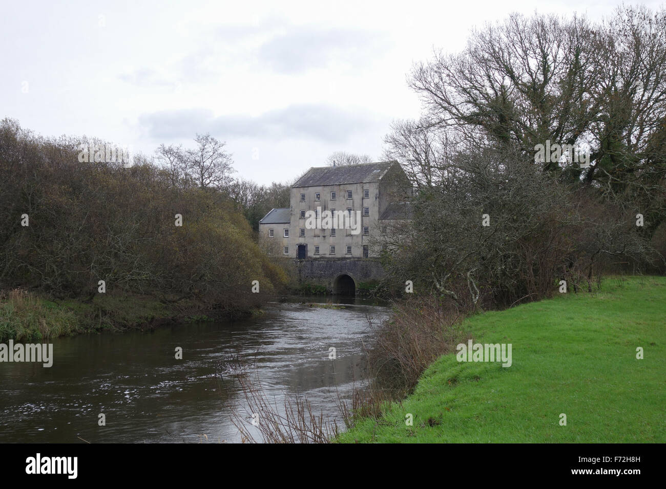 Eastern cleddau river hi-res stock photography and images - Alamy