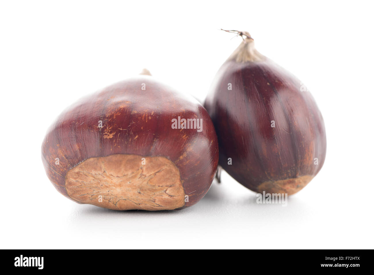 Chestnuts with shell isolated on white background Stock Photo - Alamy
