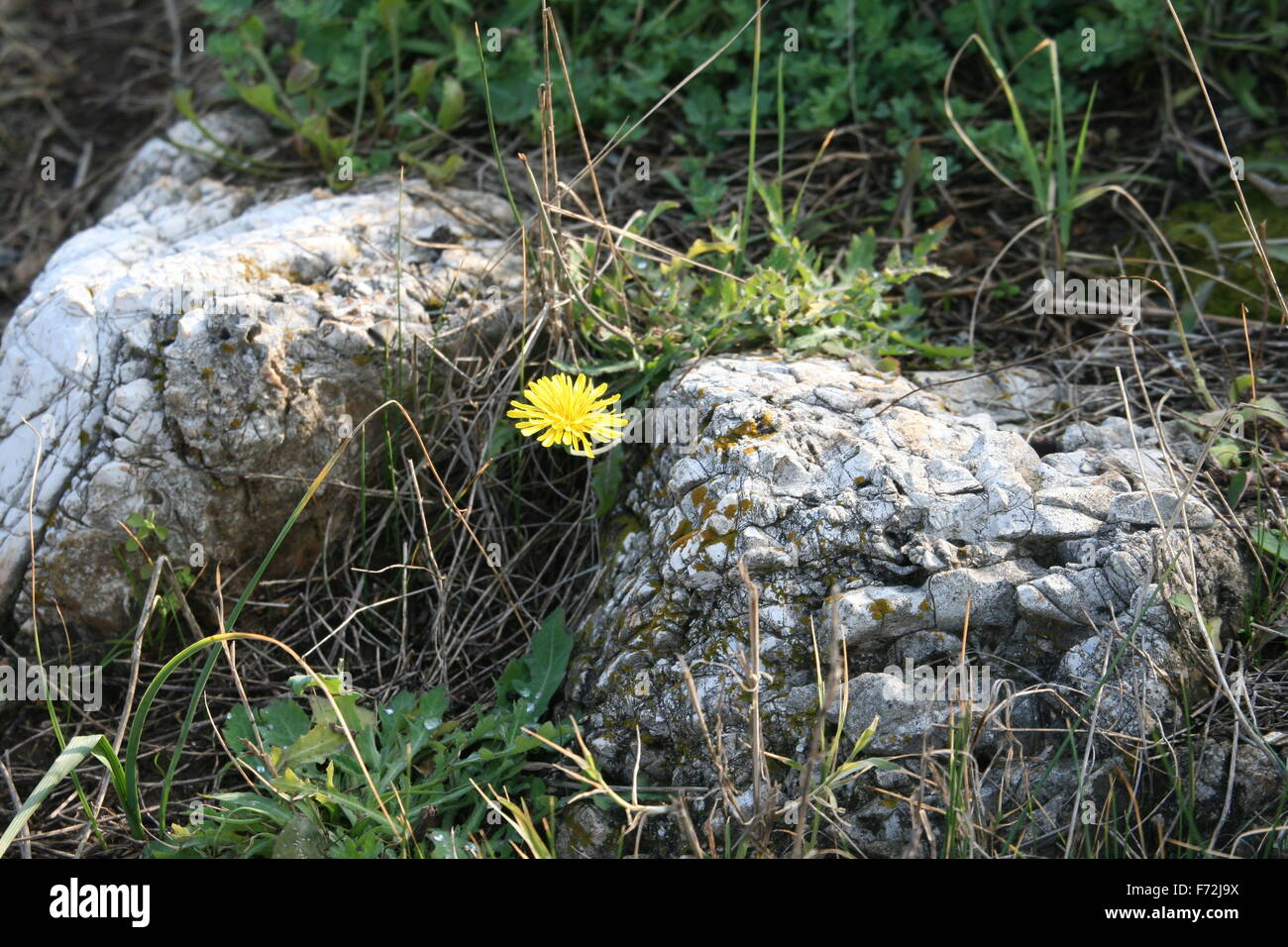 Yellow rocks hi-res stock photography and images - Alamy