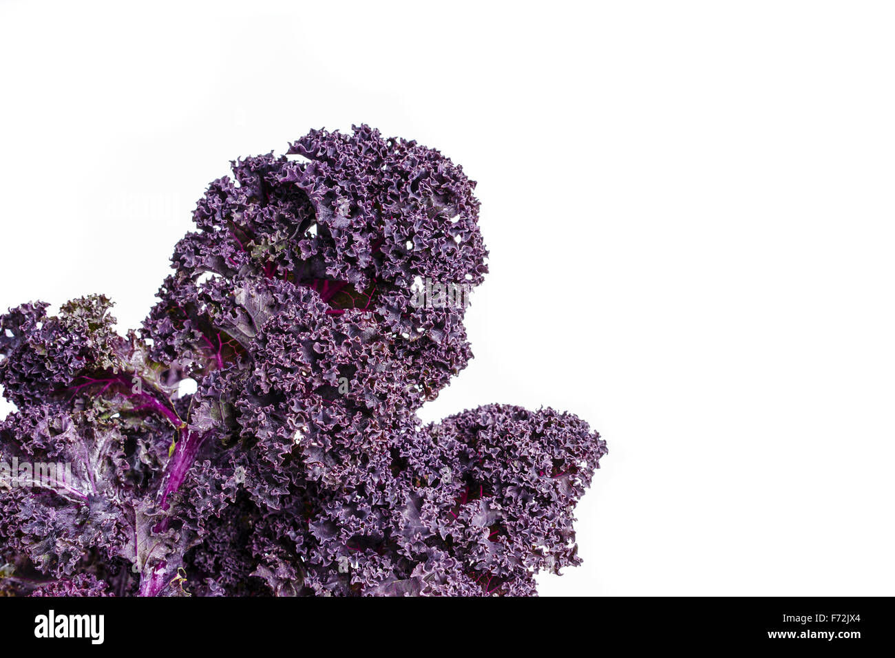 Garden red russian kale hi-res stock photography and images - Alamy