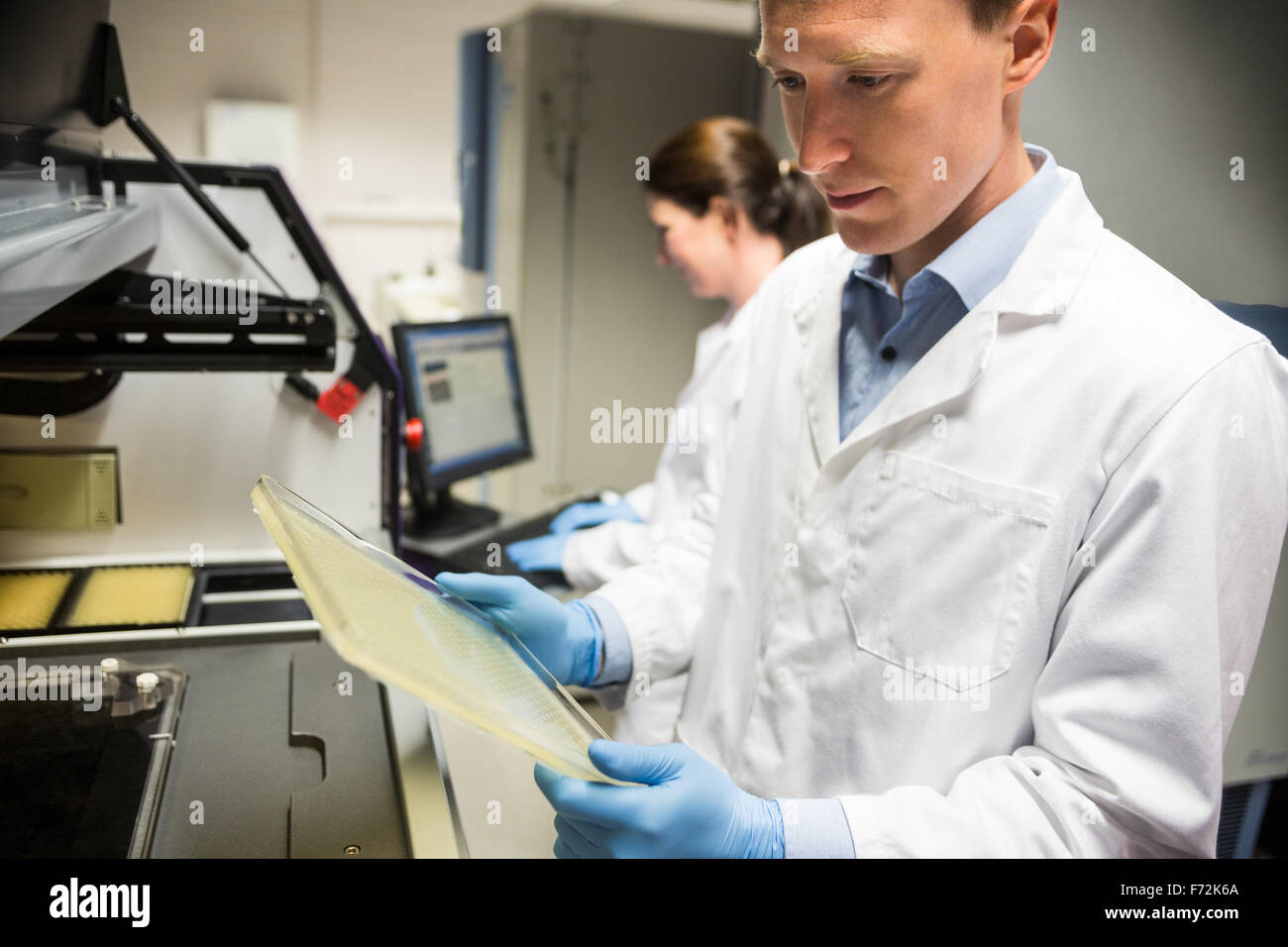 Scientist examining a large slide Stock Photo - Alamy