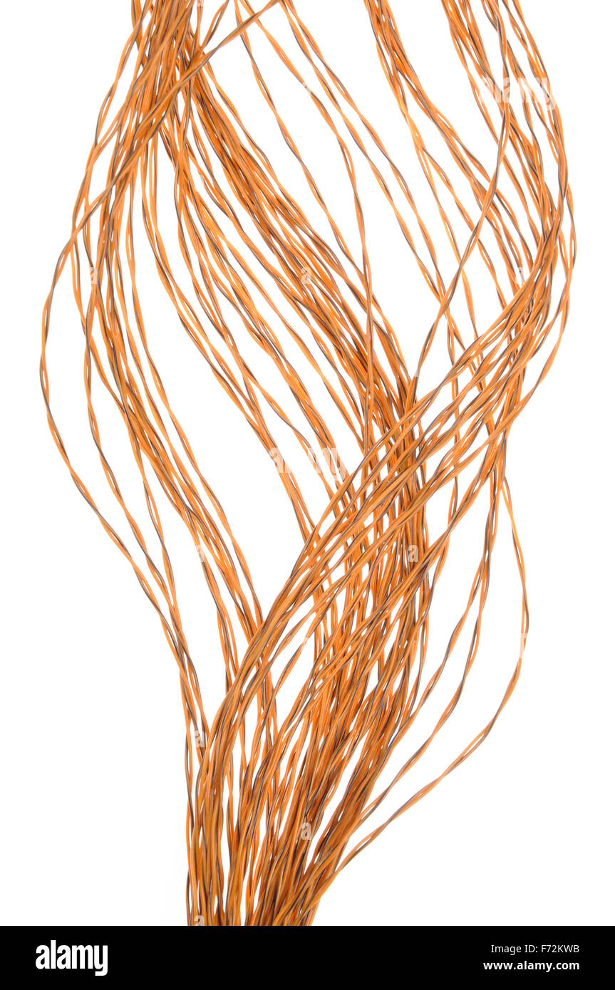 Computer network color cables isolated on white background Stock Photo ...