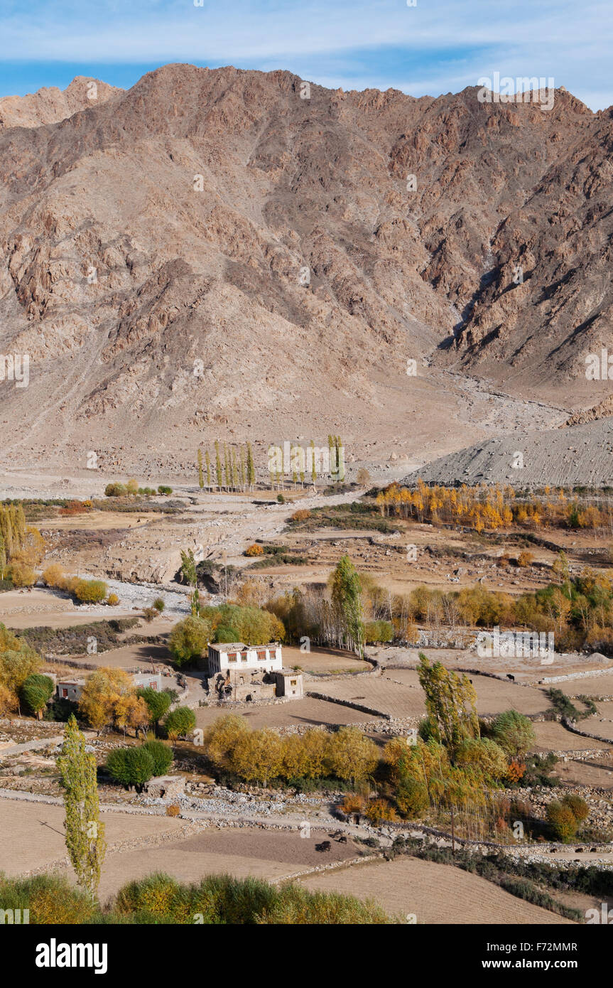 Beautiful small village at Leh during falls, Ladakh, India Stock Photo ...
