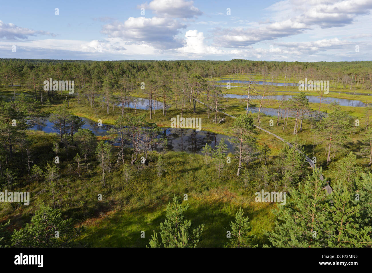 Viru bog nature trail, Lahemaa National Park Stock Photo - Alamy
