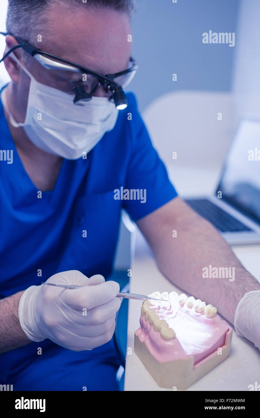 Male dentist looking at mouth model Stock Photo - Alamy