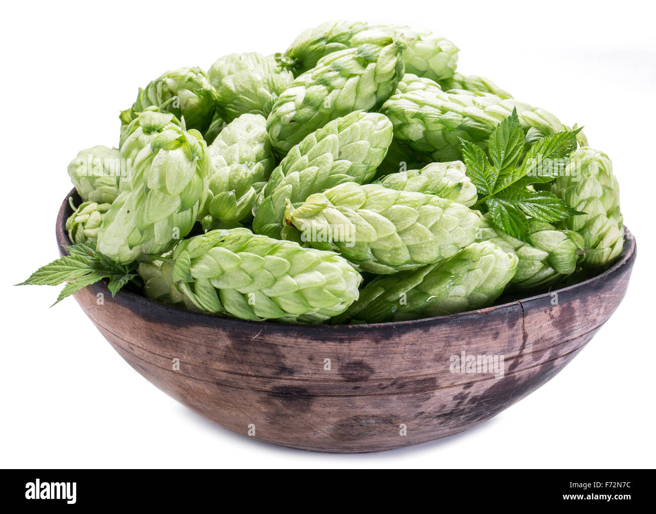 Hop cones in the wooden bowl. Isolated on the white background Stock ...